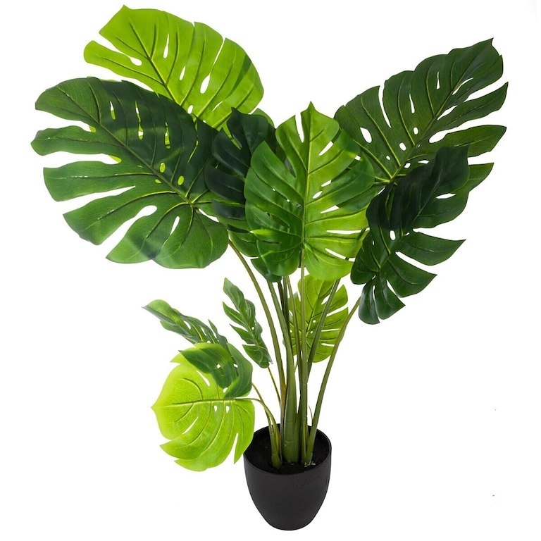 Dekorativna biljka monstera h110