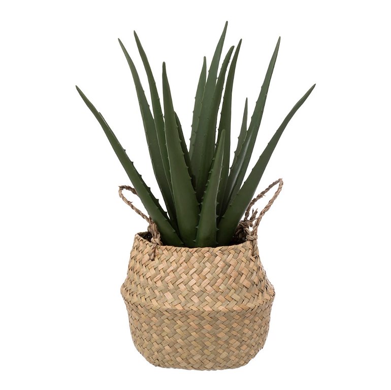 Dekorativna biljak aloe natural h37 cm