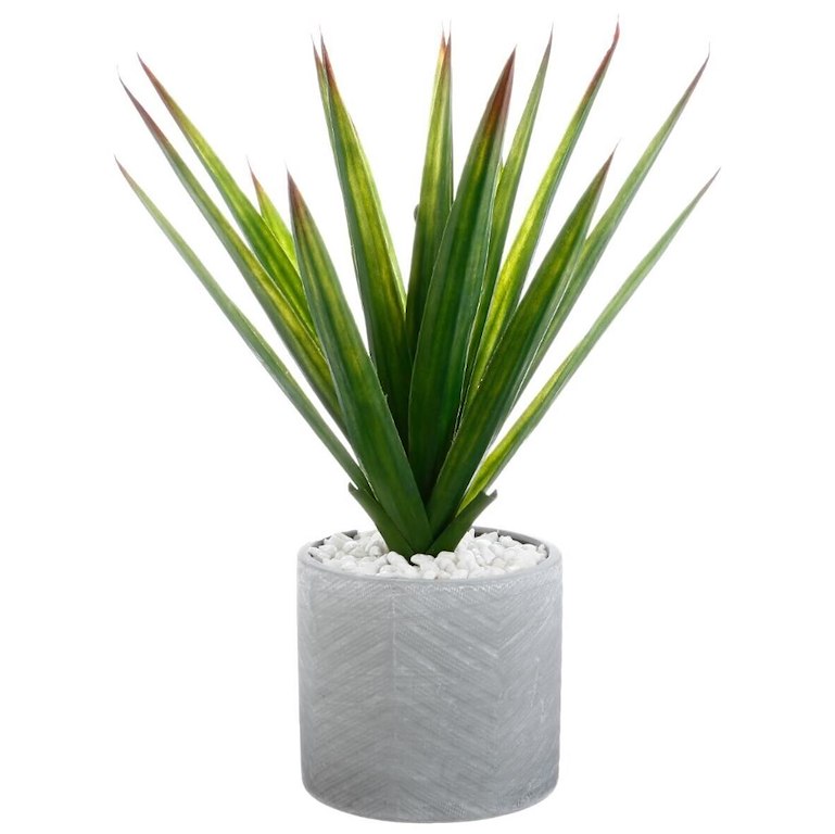 Aloe vera u saksiji 44x47cm pe/dolomite/kamen siva