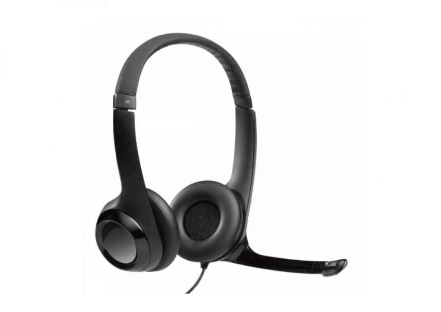 Slušalice LOGITECH H390 žične/USB/noise canceling mic/1,9m/crna