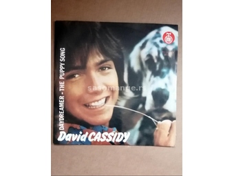 DAVID CASSIDY : Daydrimer - The puppy song 125