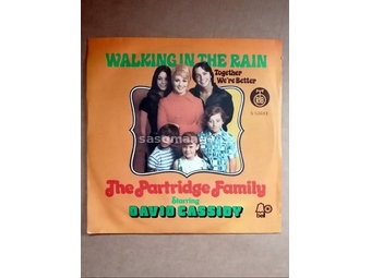 DAVID CASSIDY @THE PARTIRIDGE FAMILLY : Waalkingin in the rain - Togther We re better 119