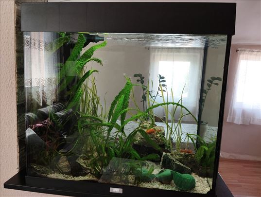 Juwel akvarijum 120L