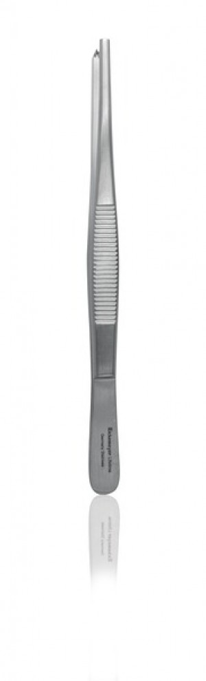 Rat Tooth Pinceta