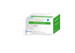 Anigen RapidCaniV-4 Test Kit