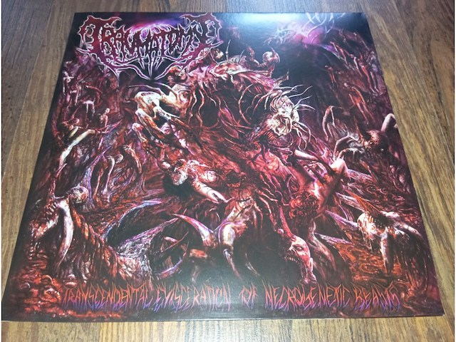 Traumatomy-Transcendental Evisceration of... LP