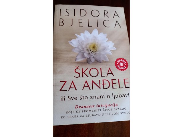 ŠKOLA ZA ANĐELE, Isidora Bjelica