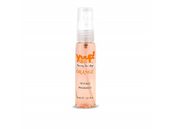 Refil Orange Fragances 30ml