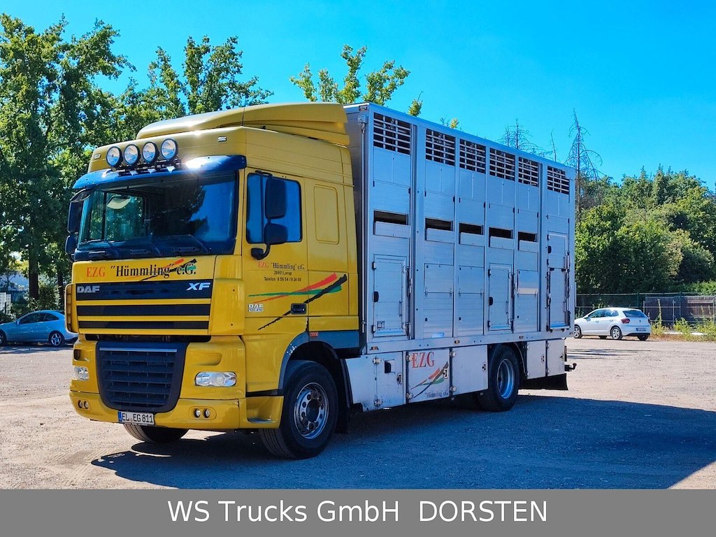 DAF XF410 Menke Doppelstock kamion za prevoz stoke