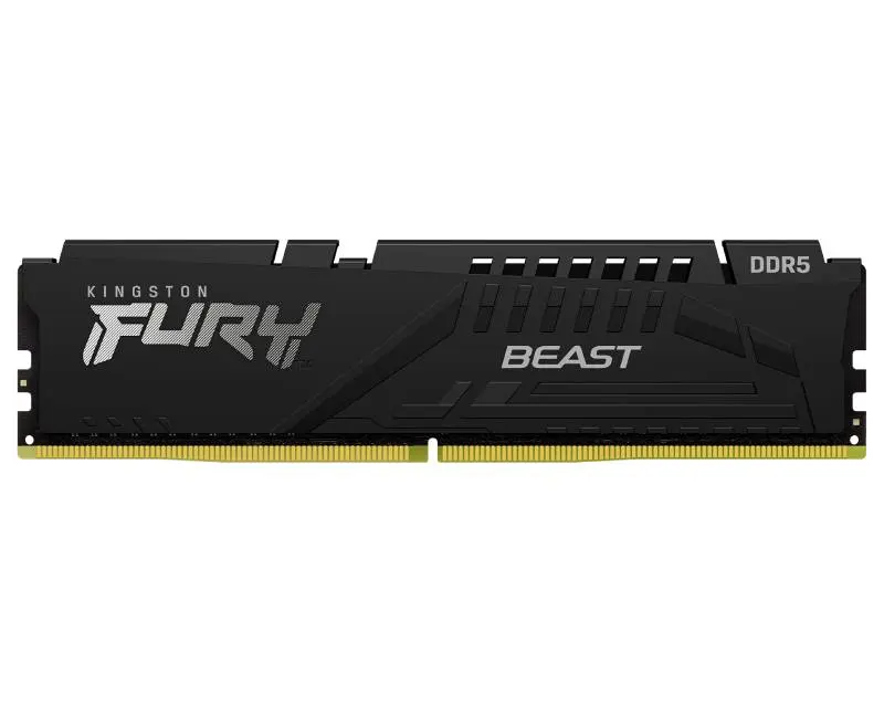 KINGSTON RAM Memorija Fury Beast DIMM DDR5 8GB 5600MT/s KF556C36BBE-8 EXPO