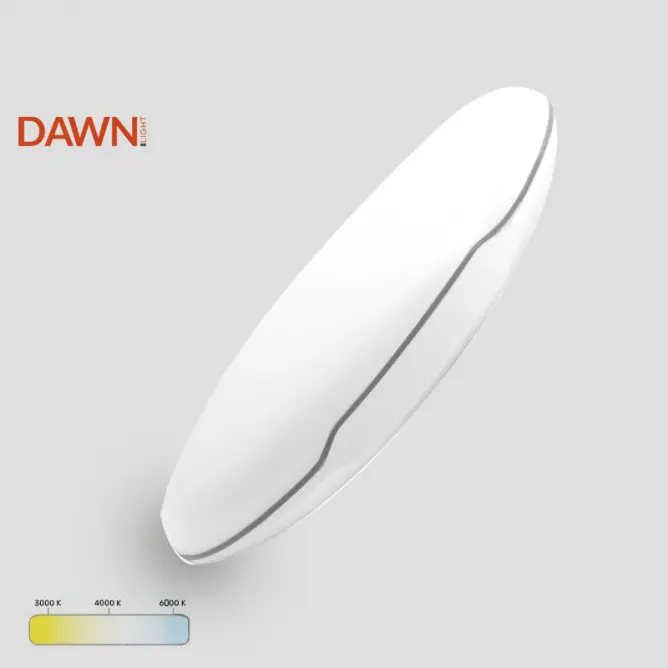 DAWN LED Plafonjera DCL101 24W 3000/4000/6000K IP54, Bela