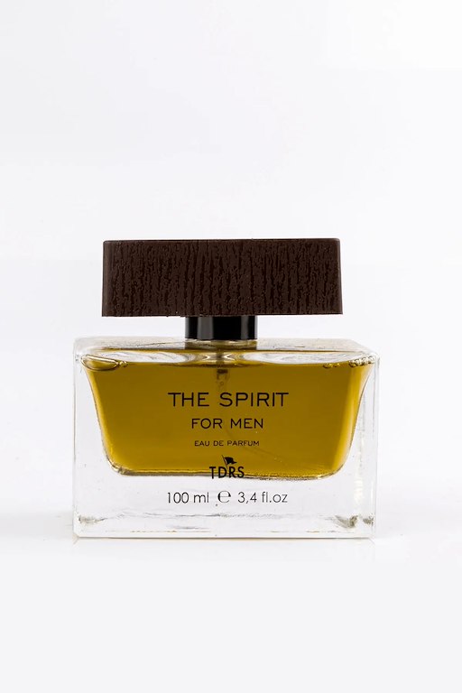 TUDORS Muški parfem The Spirit 100ml