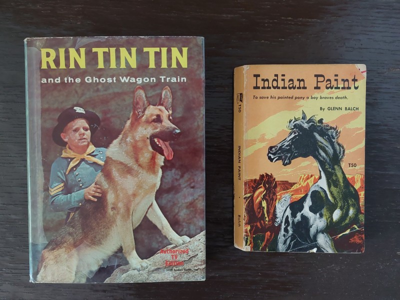 RIN TIN TIN i INDIAN PAINT 2 knjige na engleskom jeziku