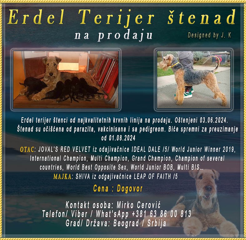 Erdel terijer