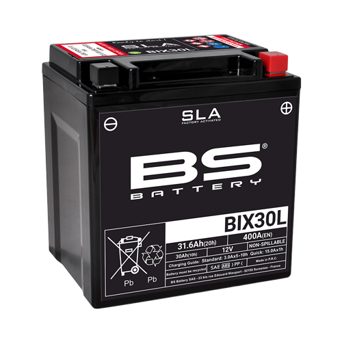 Akumulator BS 12V 31.6Ah gel BIX30L-FA desni plus (165x125x175) 400A