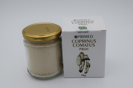 COPRINUS COMATUS PRAH 70G