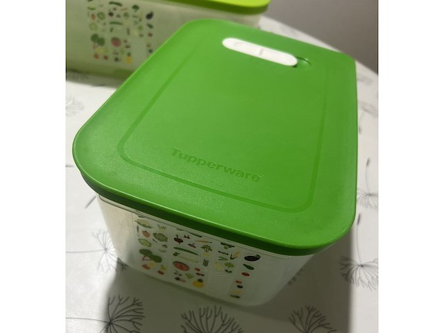 Tupperware Ventsmart