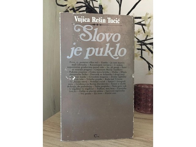 Vujica Rešin Tucić SLOVO JE PUKLO / eseji o neoavangard