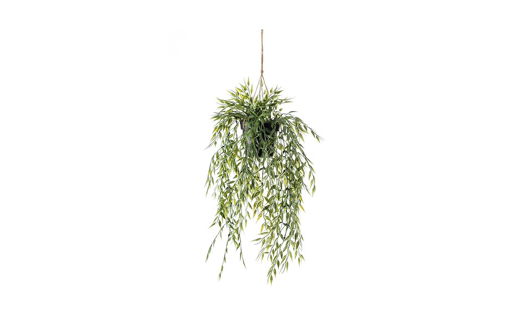 Viseća biljka Bamboo 50cm