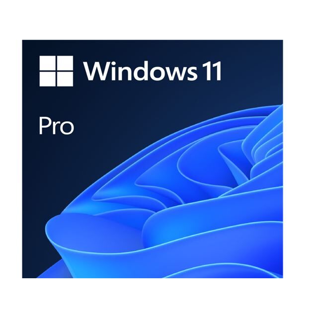 MS GGK Win Pro 11 64bit Eng Intl 1pk DVD, 4YR-00316