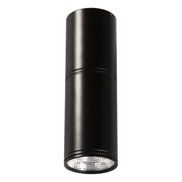 LED plafonska lampa F2603-12C BK