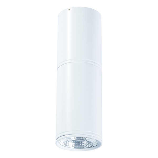 LED plafonska lampa F2603-12C WH