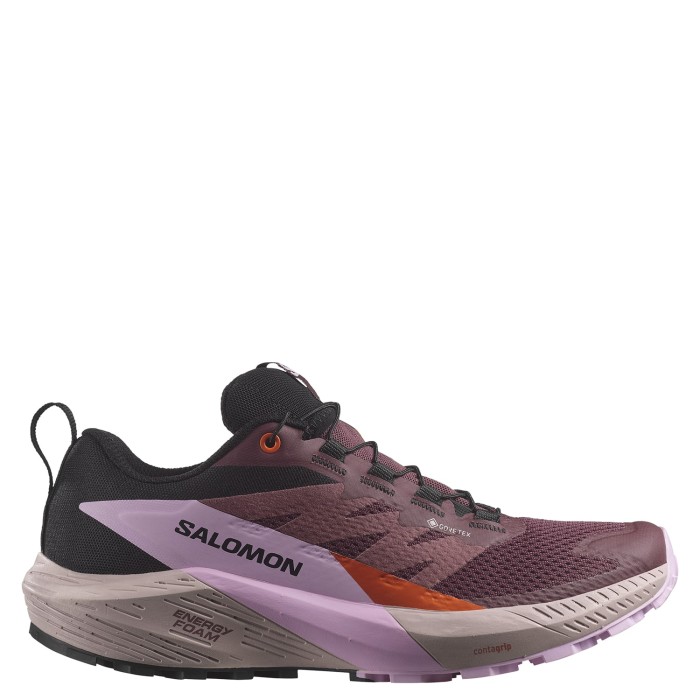 Salomon Sense Ride 5 Gtx patike