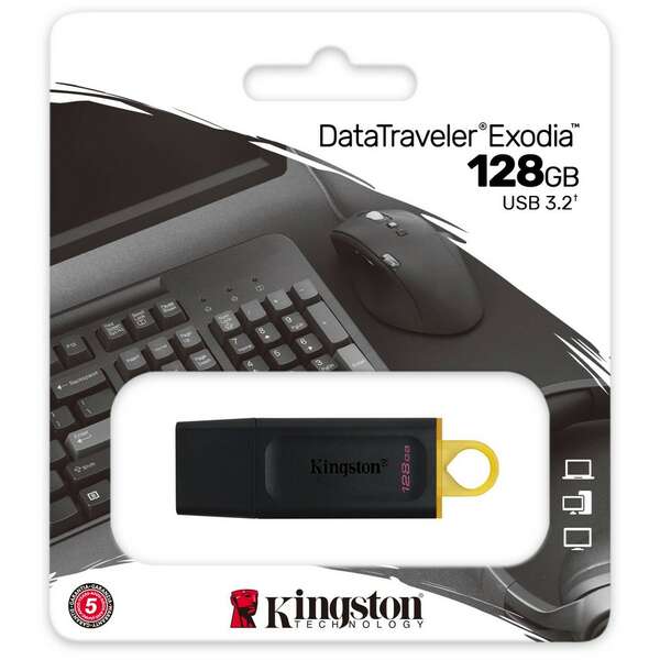 Flash memorija KINGSTON DTX/128GB