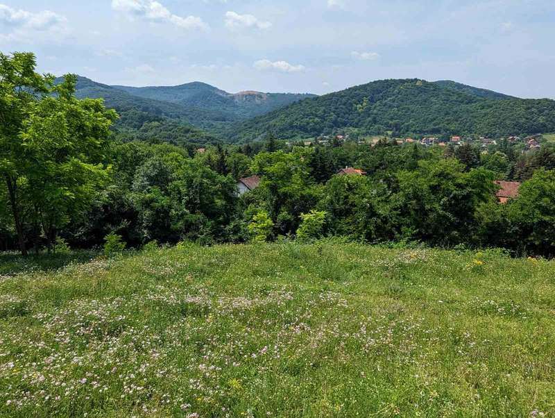 Stari Ledinci, Ledinci