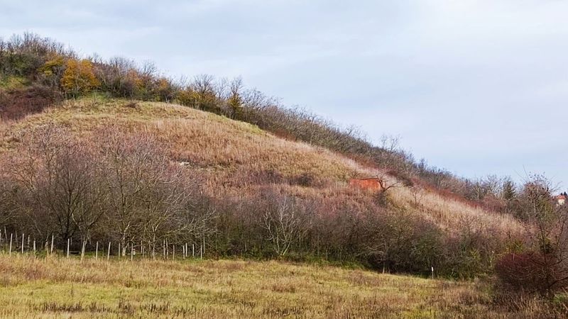 Popovica, Sremska Kamenica