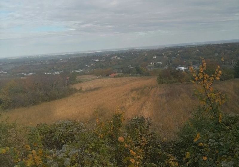 Karagača, Petrovaradin