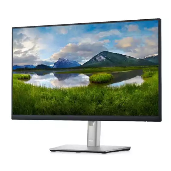 Monitor 23.8 DELL P2422H, FHD, IPS, 60Hz, 5ms, DP, VGA, HDMIID EK000488301