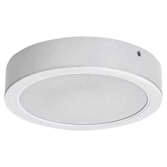 RABALUX SHAUN2 71206 LED PLAFONJERA CENA