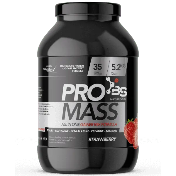 Basic Supplements Pro Mass Gejner, Ukus Jagoda, 5.2kg