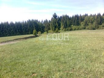 Gorski kotar, Ravna Gora - okolica, zemljište 4.193m2 - dio građevinski