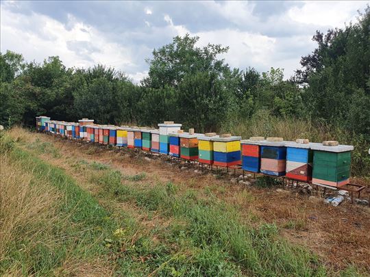 Prodajem LR košnice - Sombor