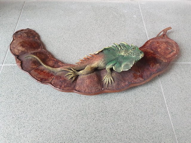 Iguana, ukras