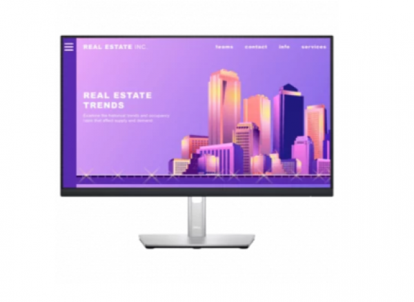 Dell Monitor P2422H 23,8'', IPS Pivot ( 117441 )