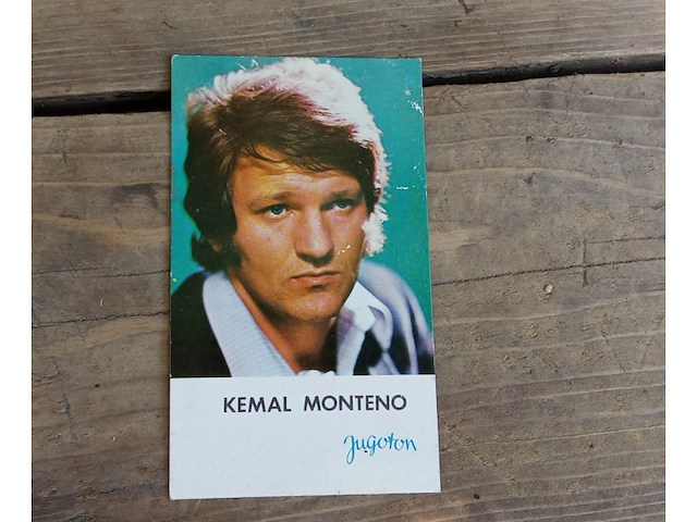 PORTRET Kemal Monteno