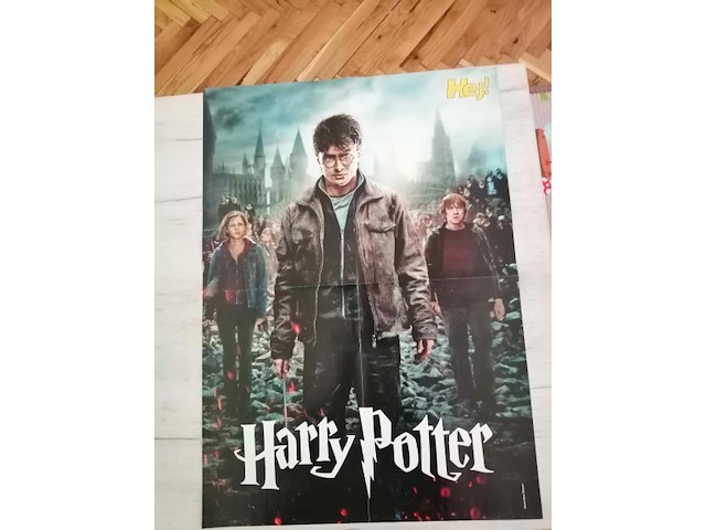 Poster - Harry Potter/Selena Gomez