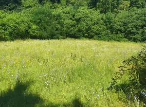 Prodaja Ostale nekretnine - Mionica, Banja Vrujci