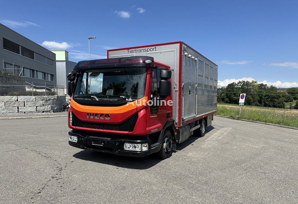 IVECO 100E21 kamion za prevoz stoke
