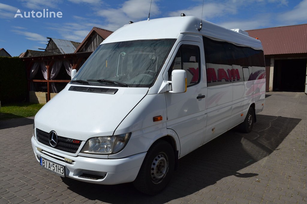 Mercedes-Benz Sprinter 313 putnički minibus