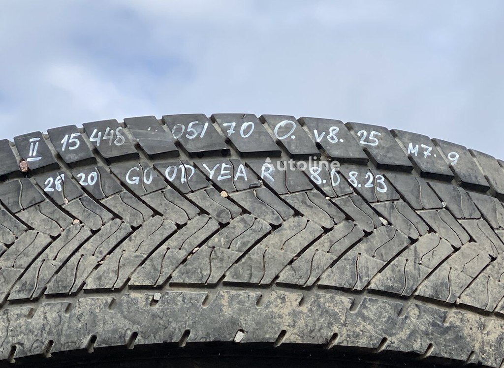 Goodyear D (01.13-) guma za kamione