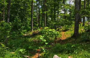 Lokacija za turističke vizionare