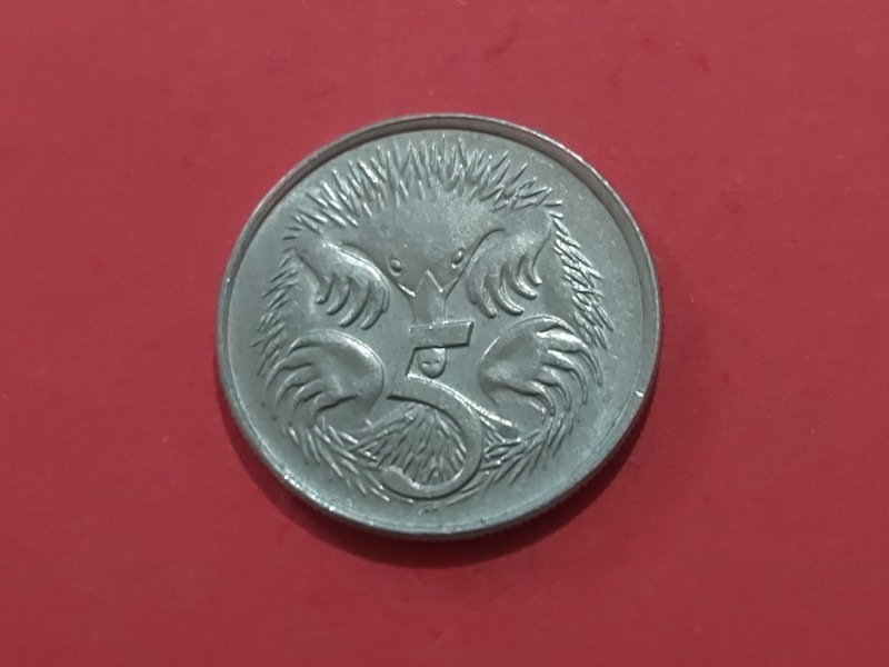 Australija - 5 cent 1981 god