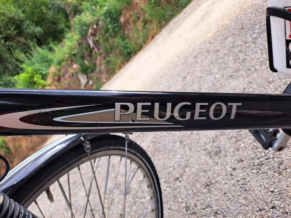 Peugeot Bicikl XL