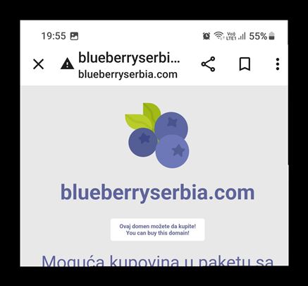 blueberryserbia.com