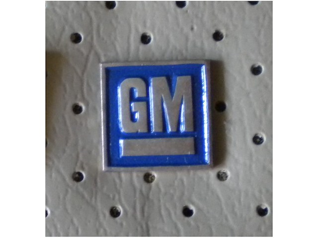 `GM/General Motors`