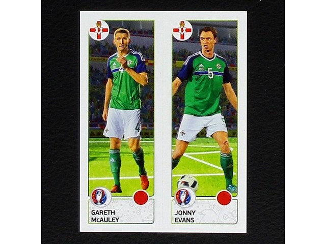 Euro 2016 broj 321 Panini